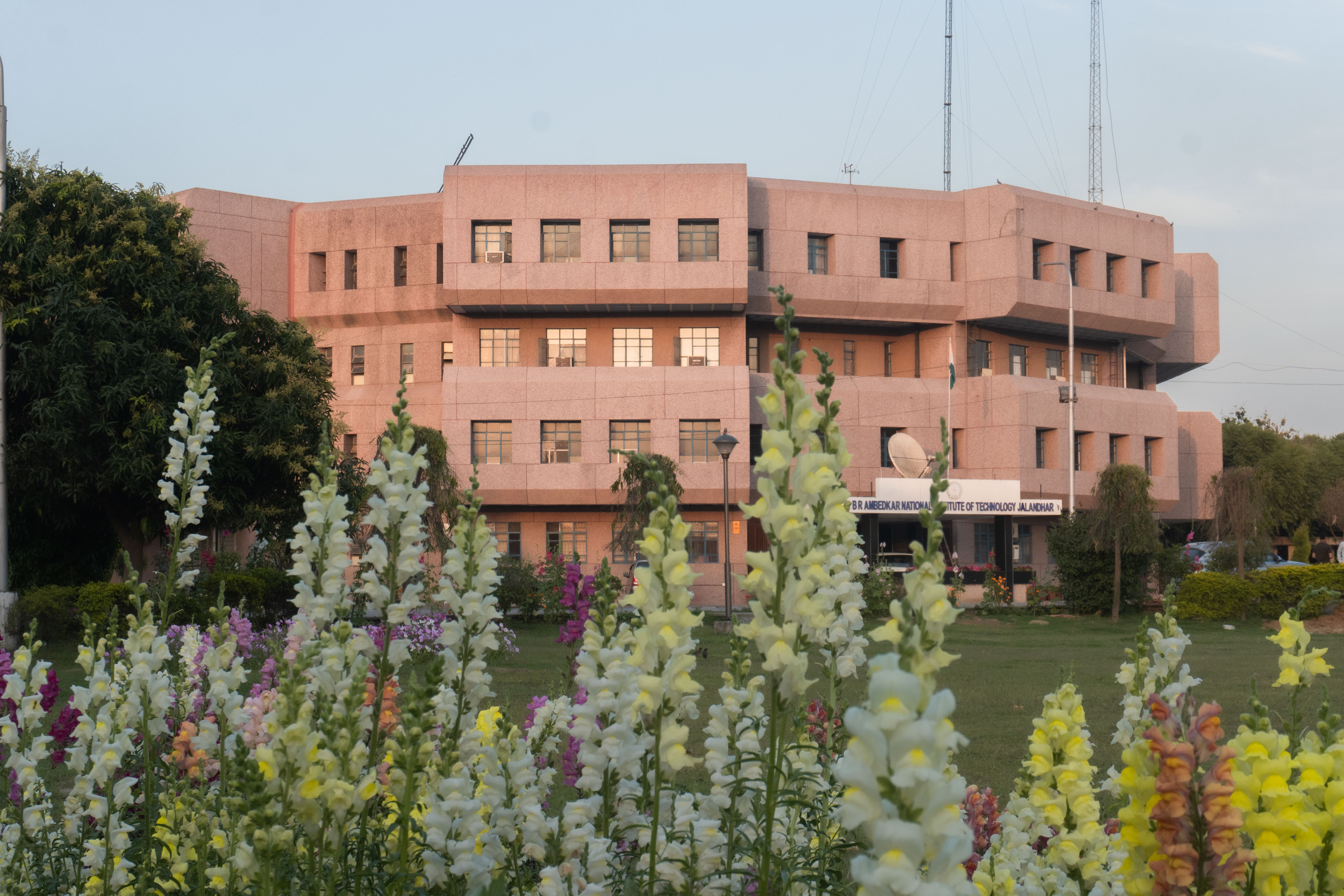 NITJ Placement Portal