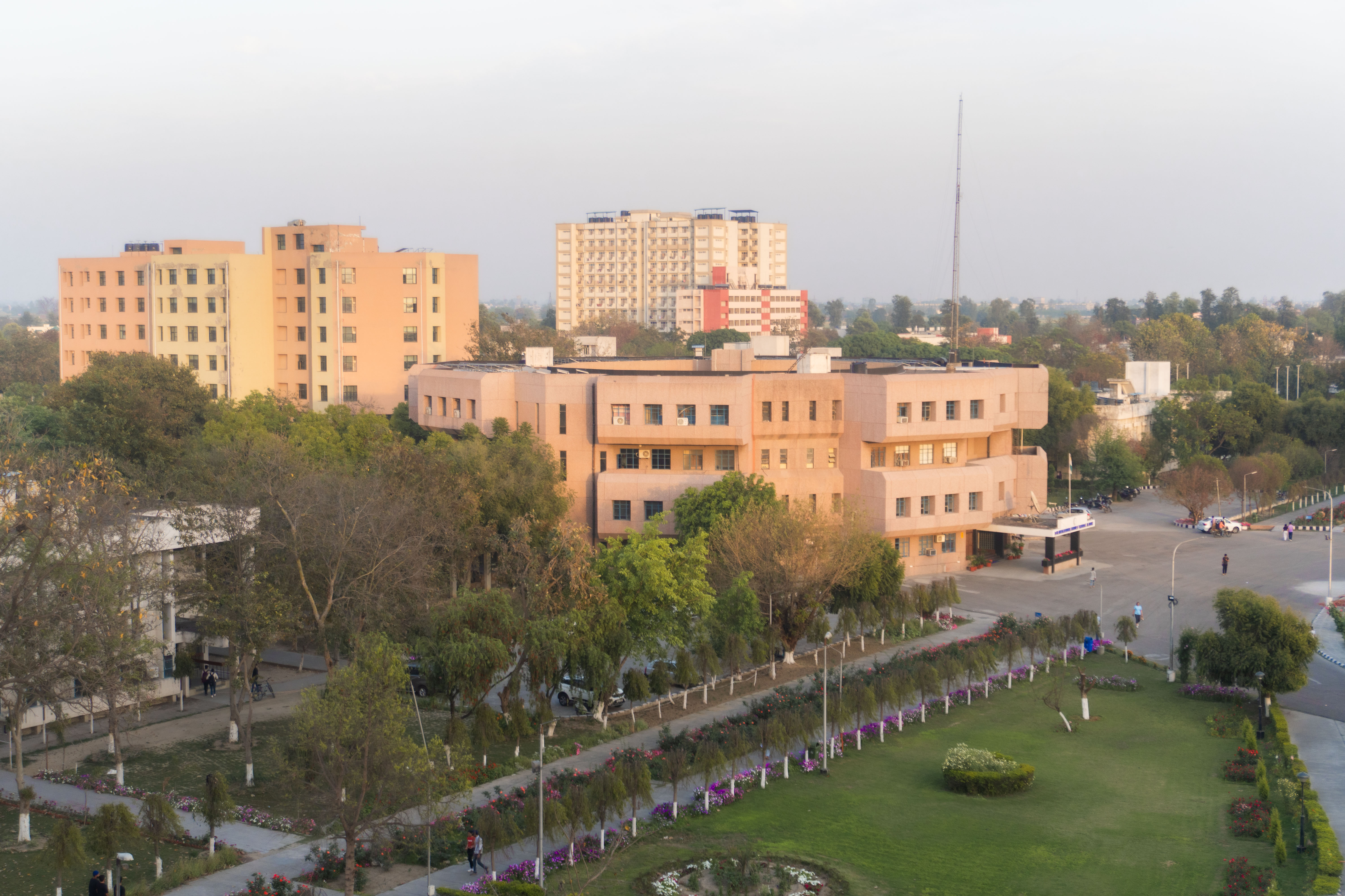 NITJ Placement Portal